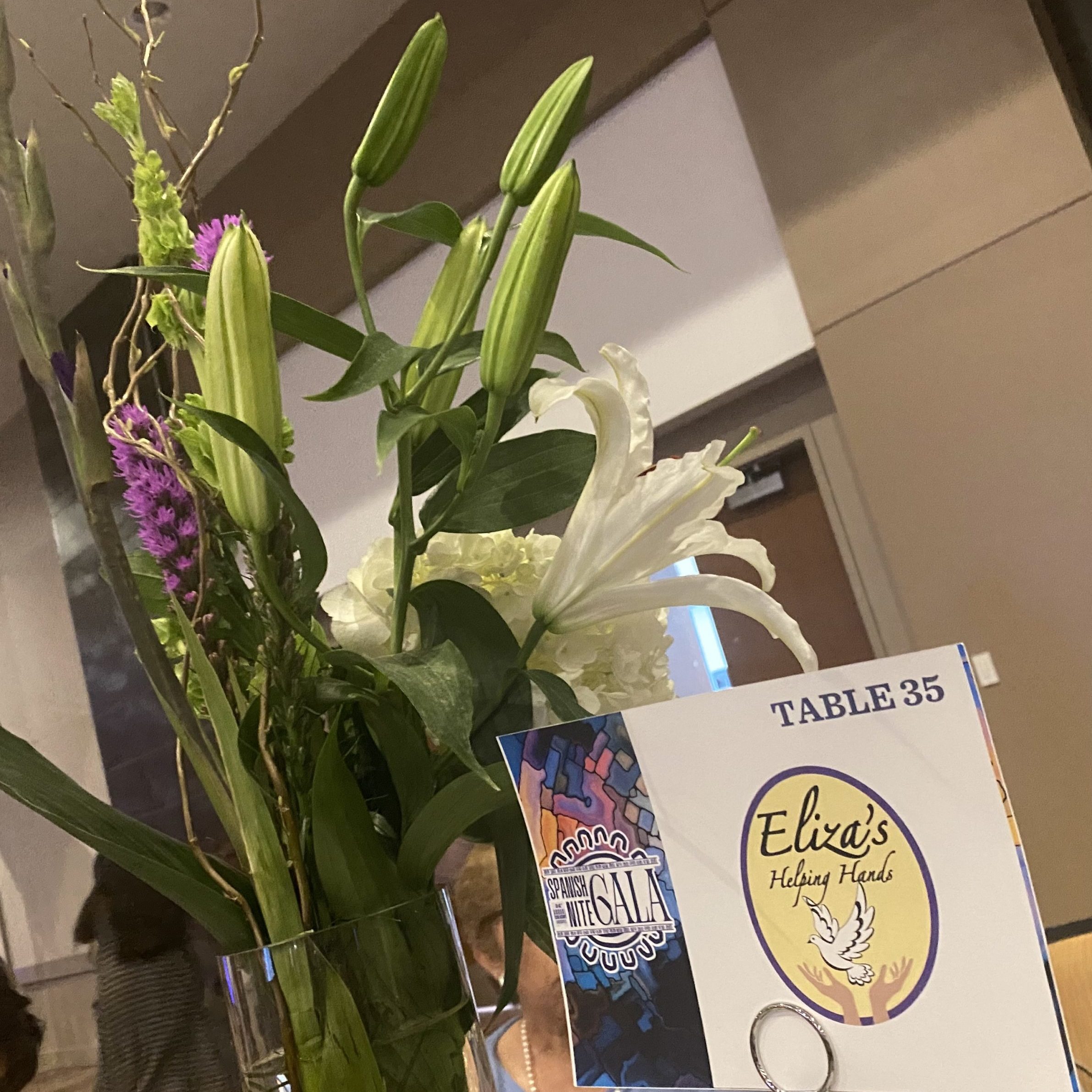 Eliza's Helping Hands - Supporting Abuse Survivors